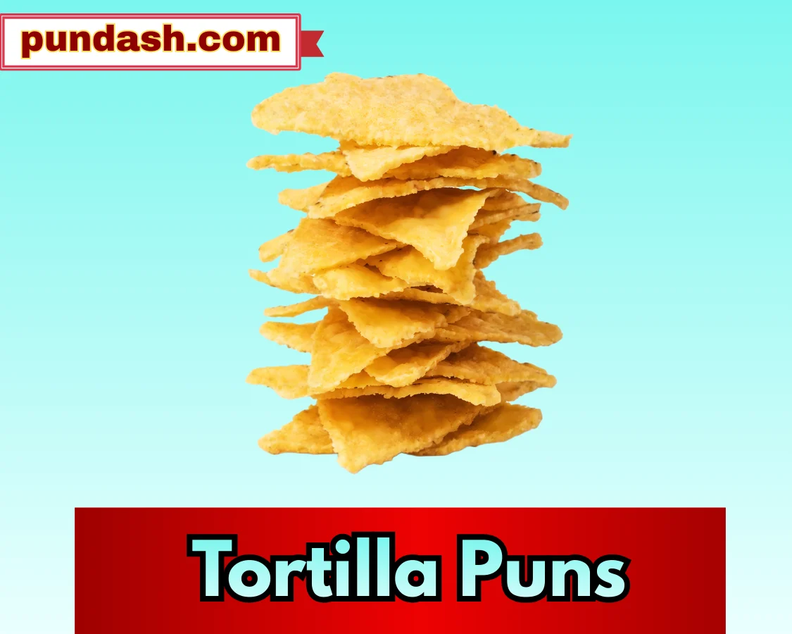 217+ Tortilla Puns That Will Make You Roll With Laughter 🌮😂